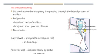 ENDOSCOPIC ANATOMY OF MIDDLE EAR CLEFT AND MUCOSAL FOLDS.pptx