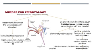 ENDOSCOPIC ANATOMY OF MIDDLE EAR CLEFT AND MUCOSAL FOLDS.pptx