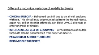 endoscopic anatomy of nasal cavity & paranasal sinuses.pptx