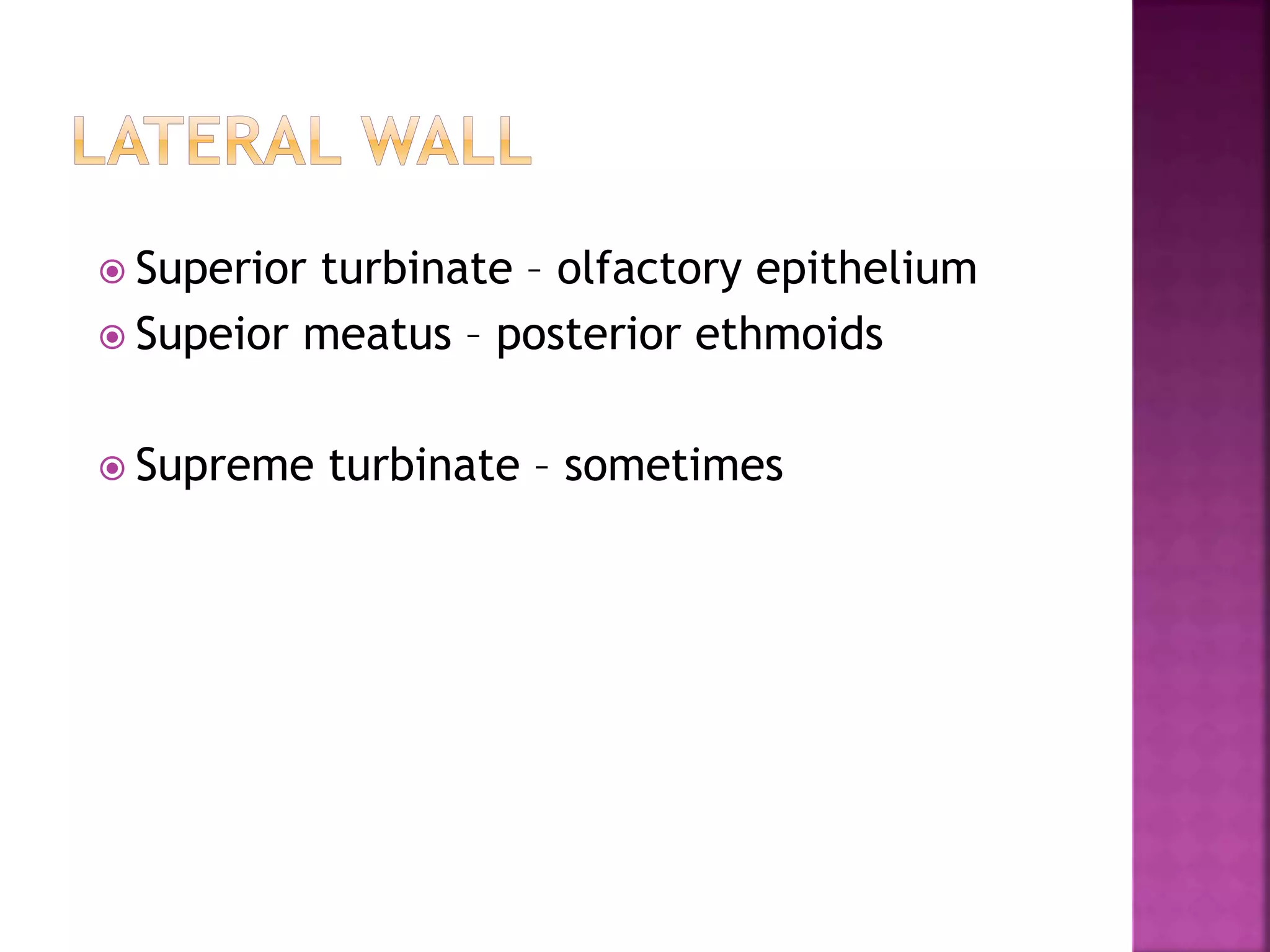 Endoscopic anatomy of nose and sphenoid sinus | PPTX