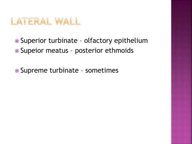 Endoscopic anatomy of nose and sphenoid sinus | PPTX | Ear, Nose and ...