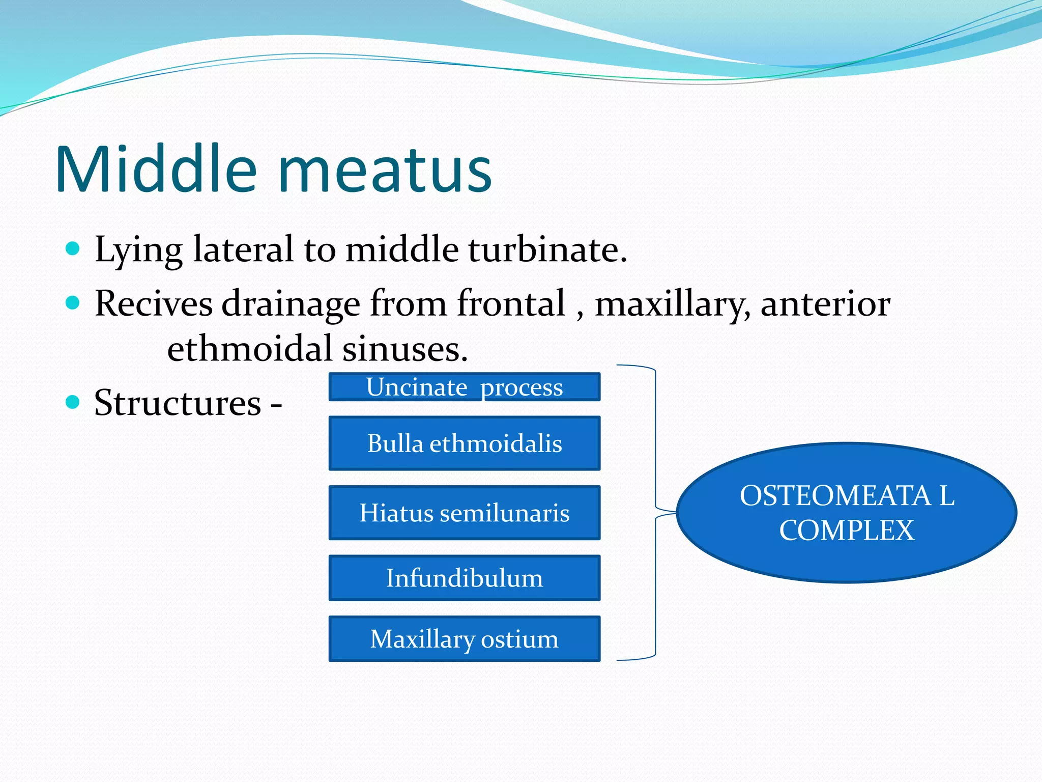 Endoscopic anatomy of nose ,paranasal sinus and anterior skull base | PPTX