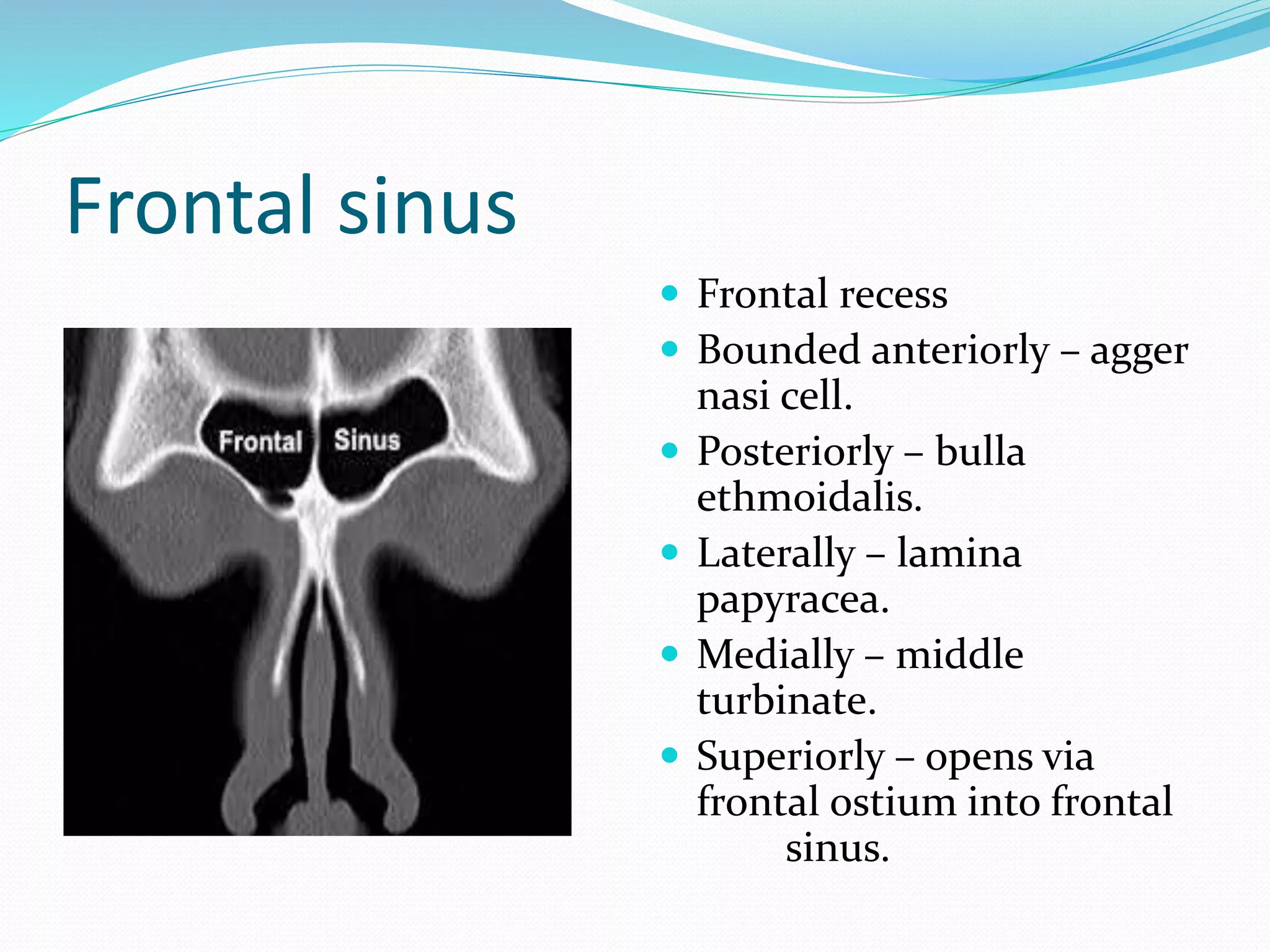 Endoscopic anatomy of nose ,paranasal sinus and anterior skull base | PPTX