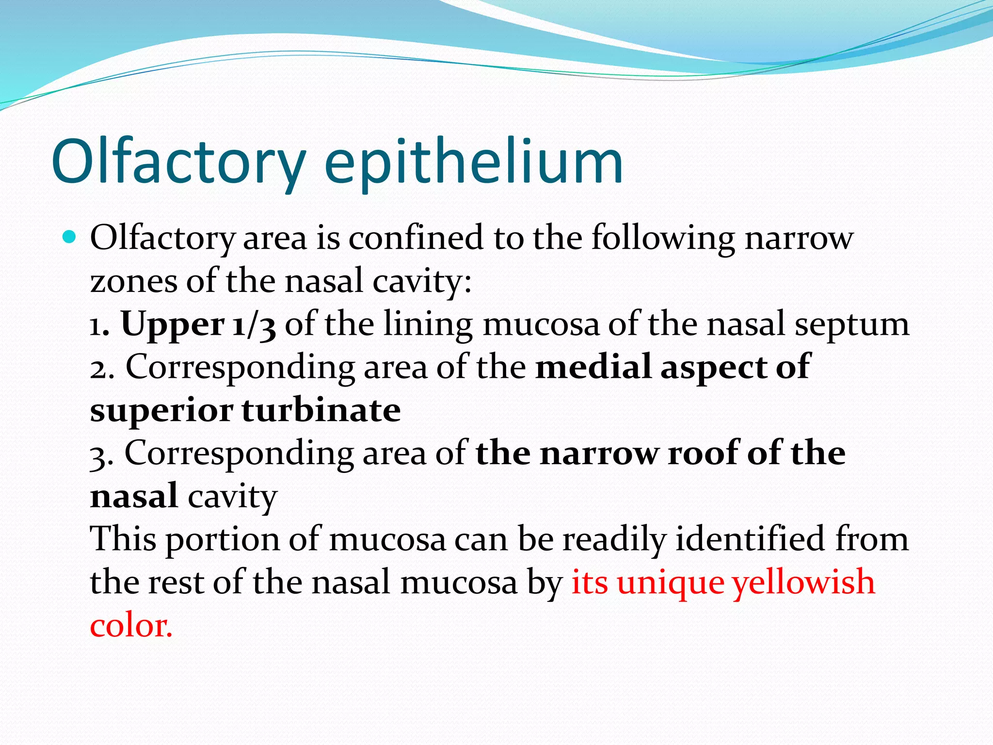 Endoscopic anatomy of nose ,paranasal sinus and anterior skull base | PPTX