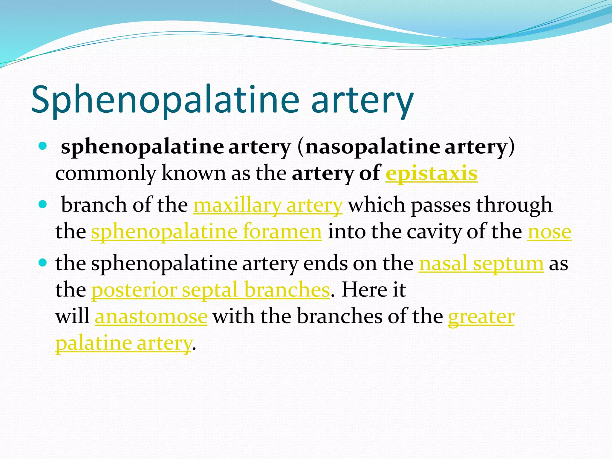 Endoscopic anatomy of nose ,paranasal sinus and anterior skull base | PPTX