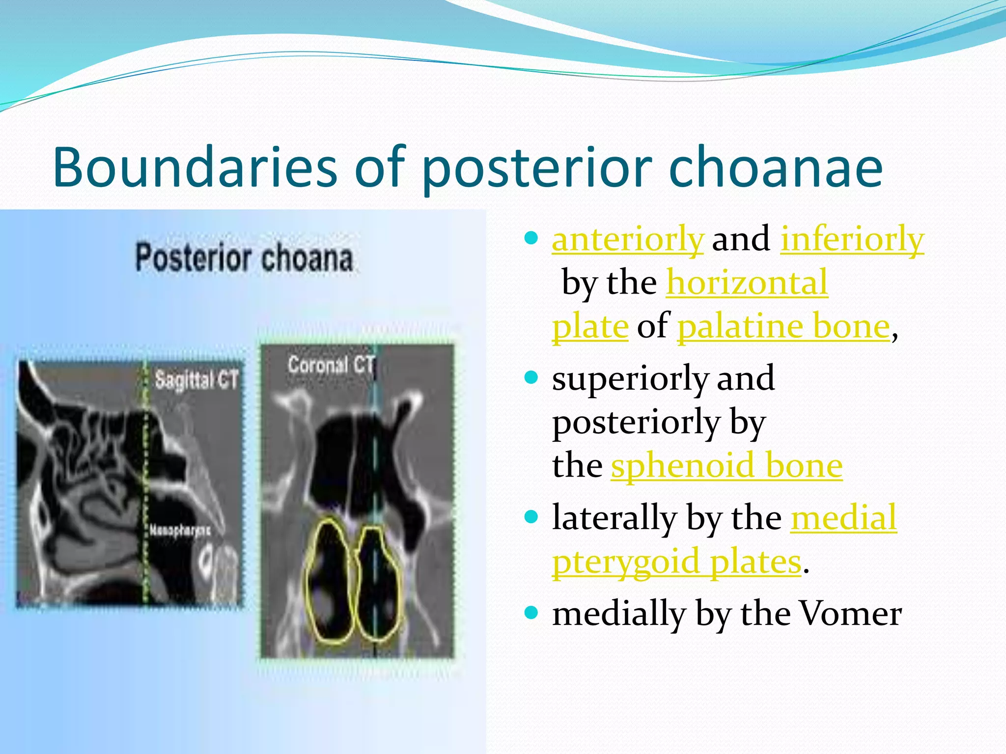 Endoscopic anatomy of nose ,paranasal sinus and anterior skull base | PPTX