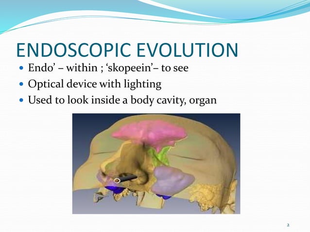 Endoscopic anatomy of nose ,paranasal sinus and anterior skull base ...