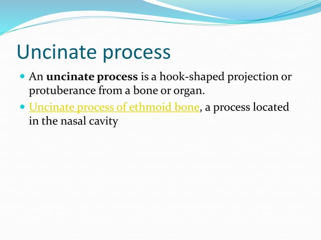 Endoscopic anatomy of nose ,paranasal sinus and anterior skull base ...