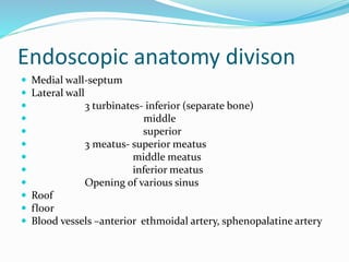 Endoscopic anatomy of nose ,paranasal sinus and anterior skull base | PPTX