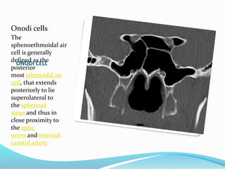 Endoscopic anatomy of nose ,paranasal sinus and anterior skull base | PPTX
