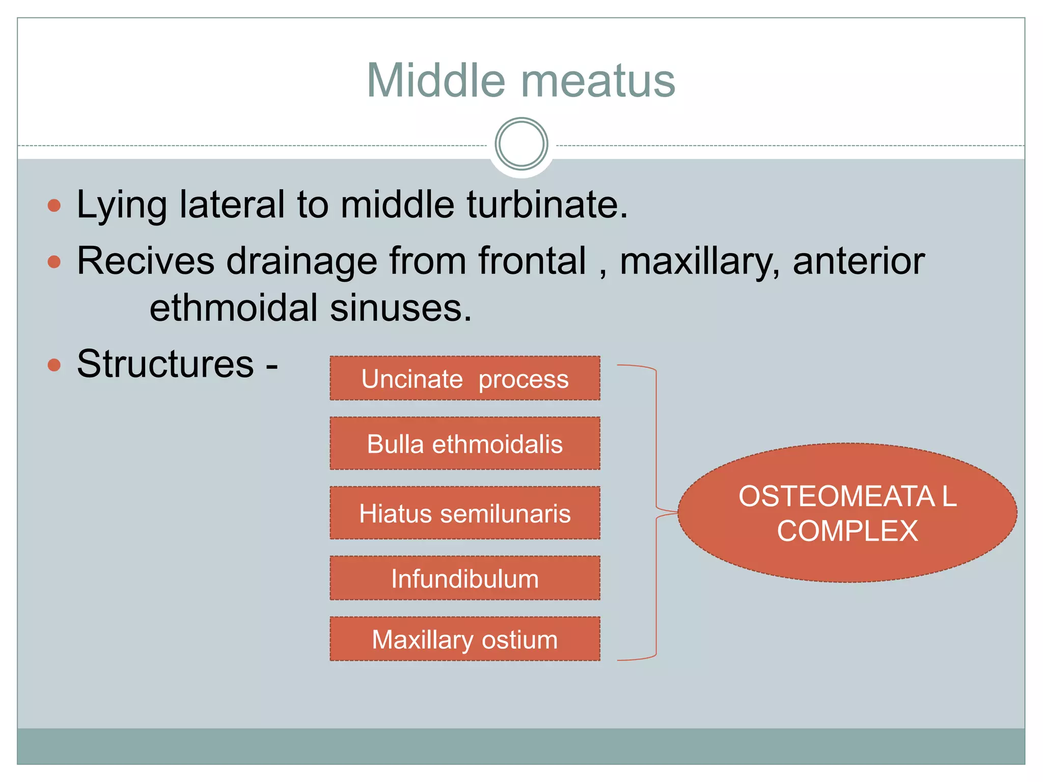 Endoscopic anatomy of nose and PNS | PPTX