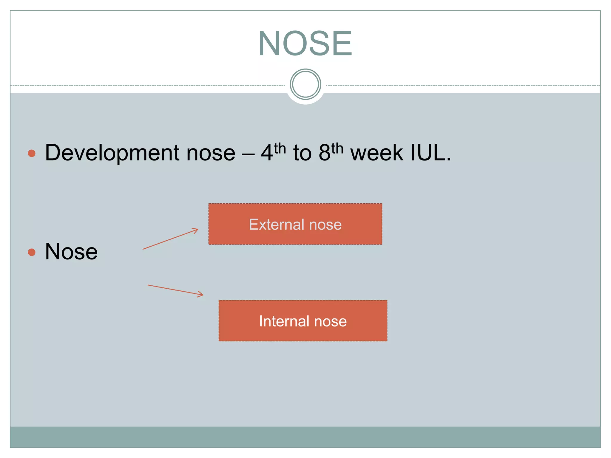 Endoscopic anatomy of nose and PNS | PPTX