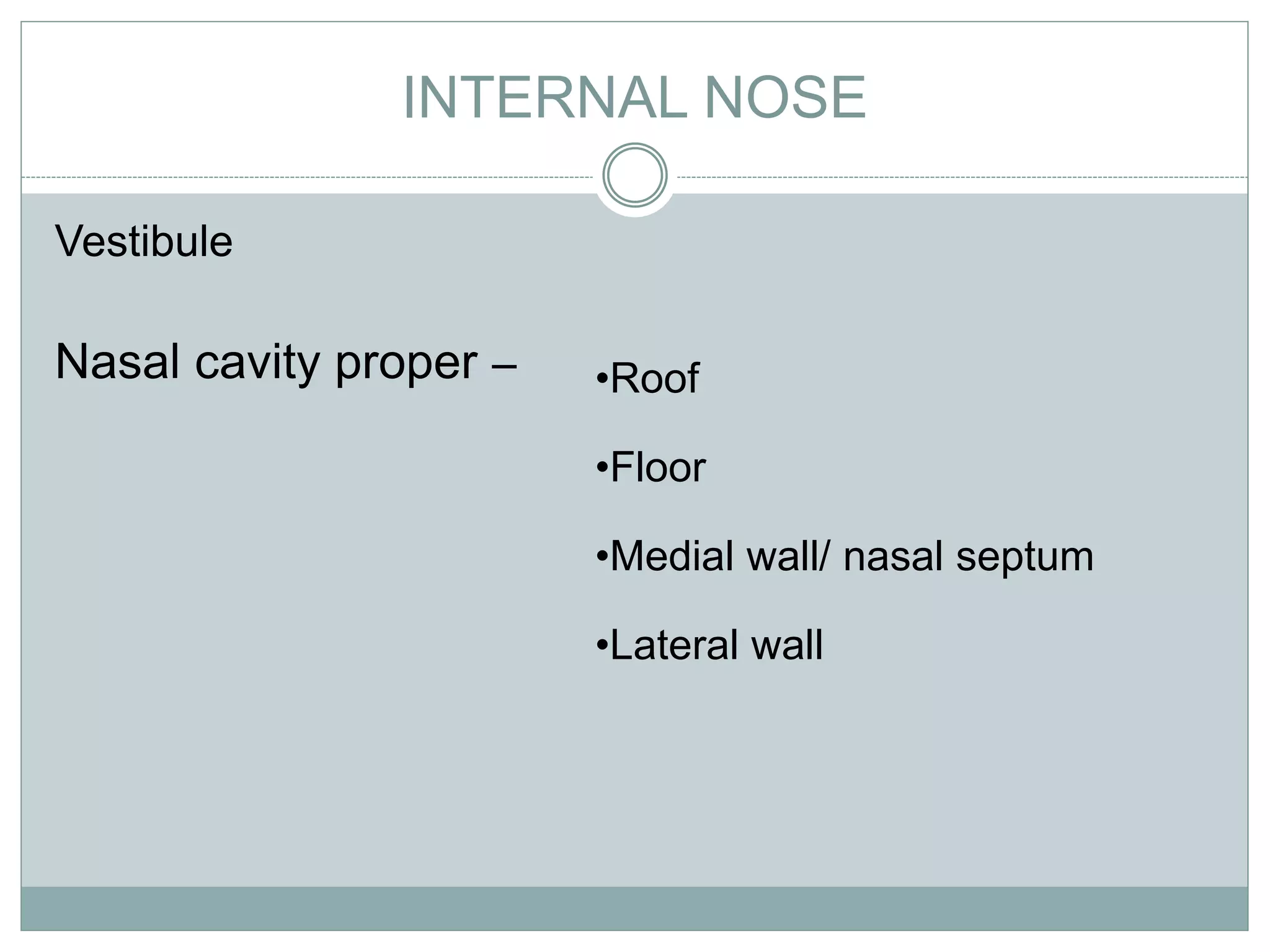 Endoscopic anatomy of nose and PNS | PPTX