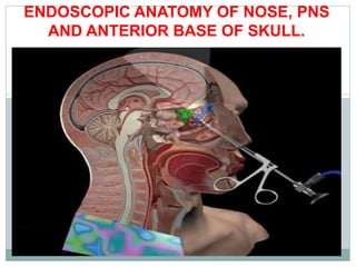 Endoscopic anatomy of nose and PNS | PPTX