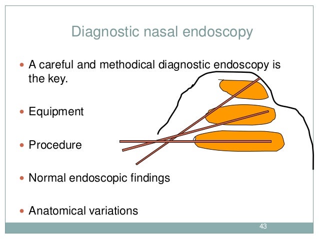 Endoscopic anatomy of nose and PNS