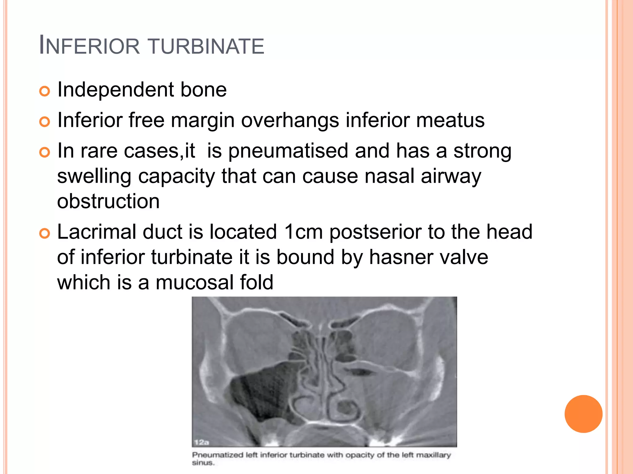 Endoscopic anatomy of Nose, PNS and anterior skull base | PPTX