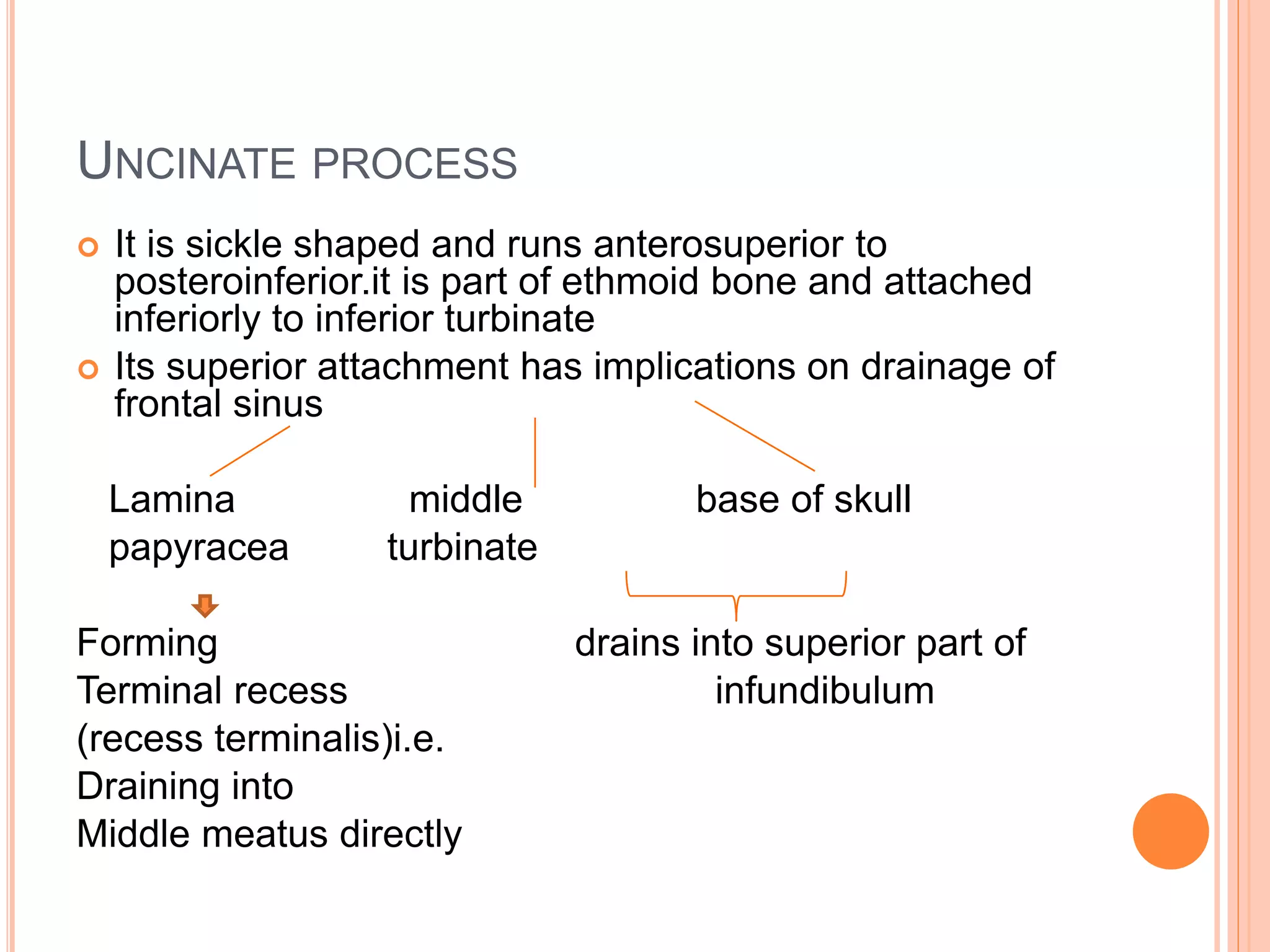Endoscopic anatomy of Nose, PNS and anterior skull base | PPTX