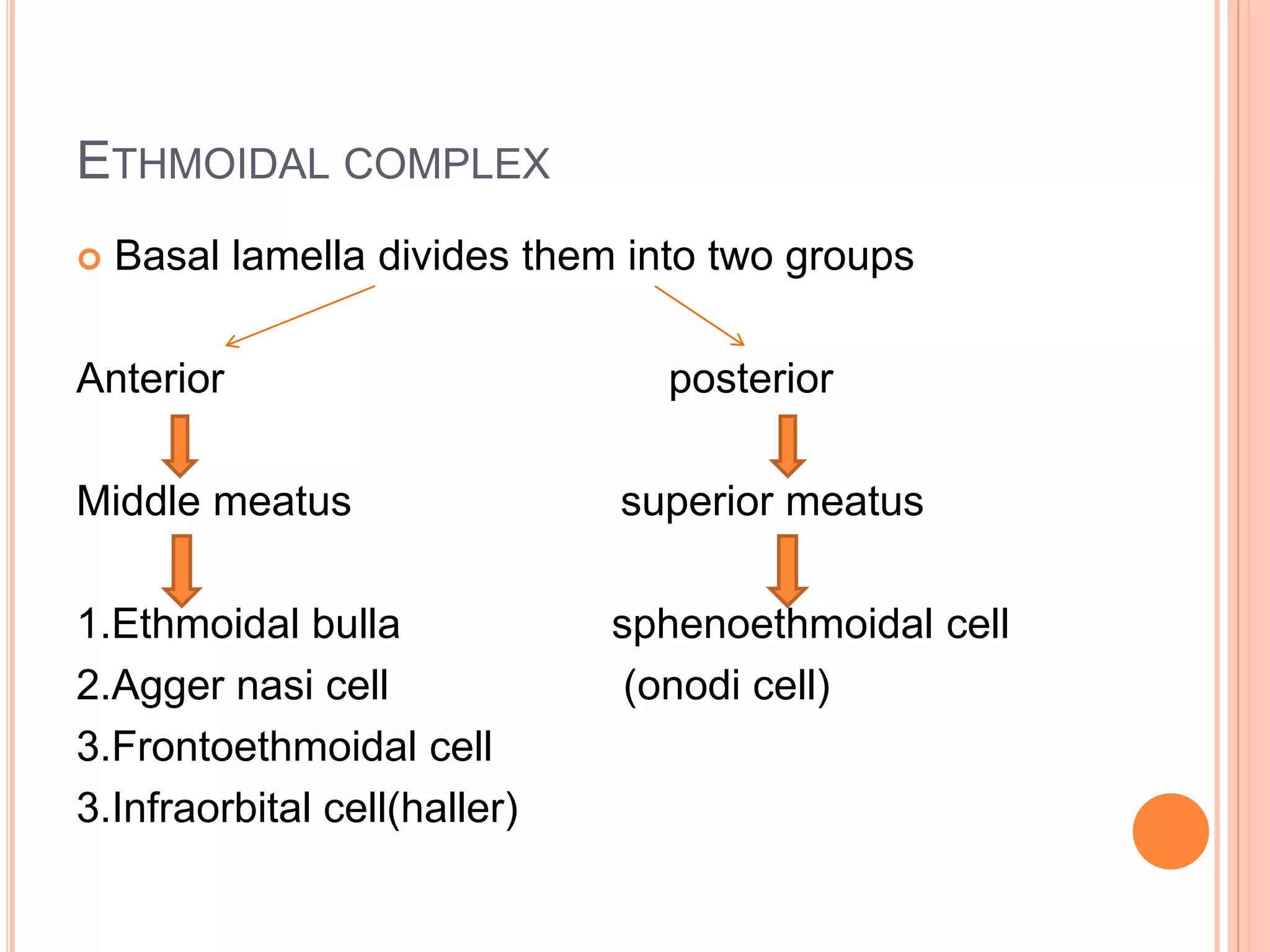 Endoscopic anatomy of Nose, PNS and anterior skull base | PPTX