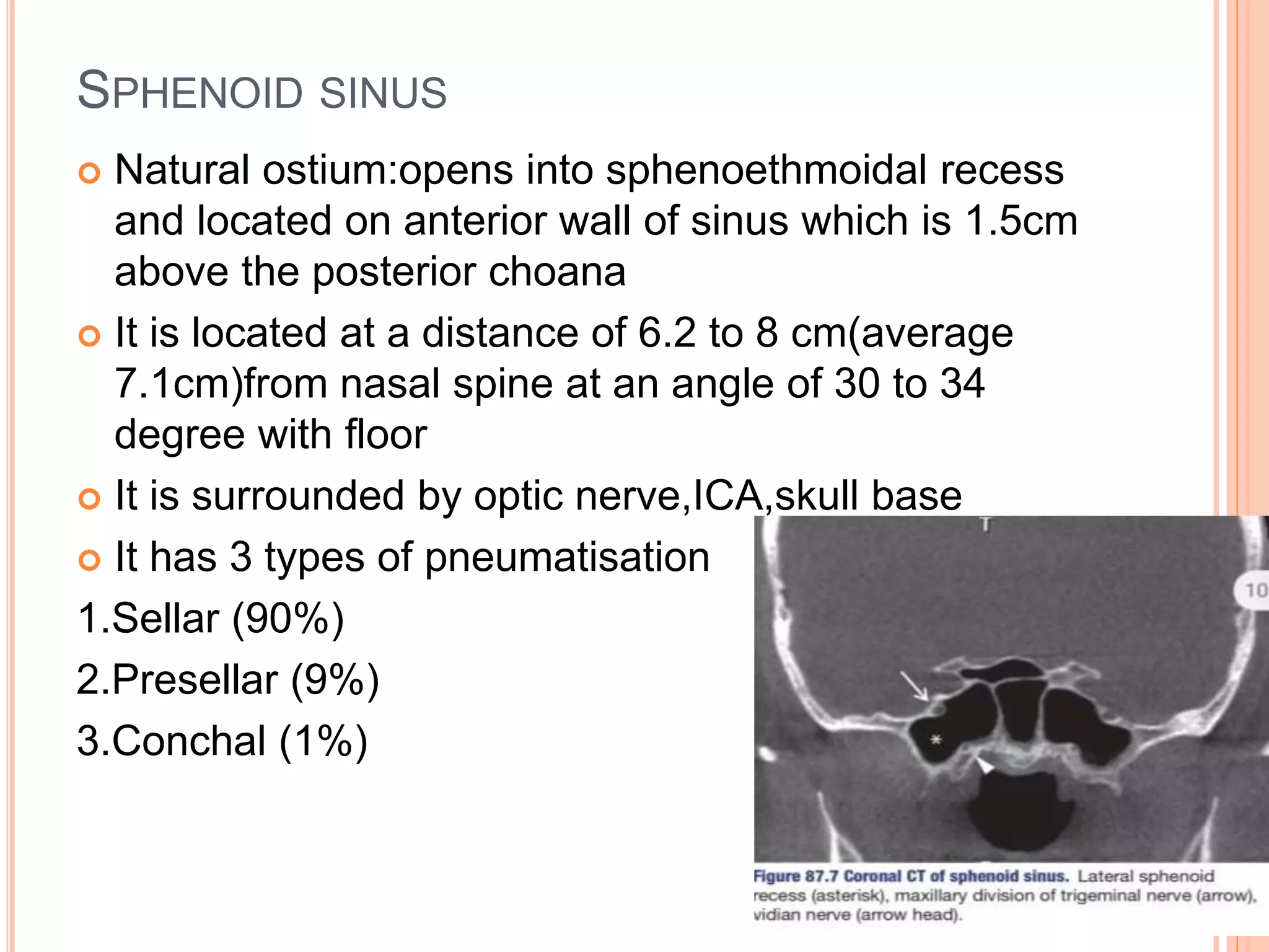 Endoscopic anatomy of Nose, PNS and anterior skull base | PPTX