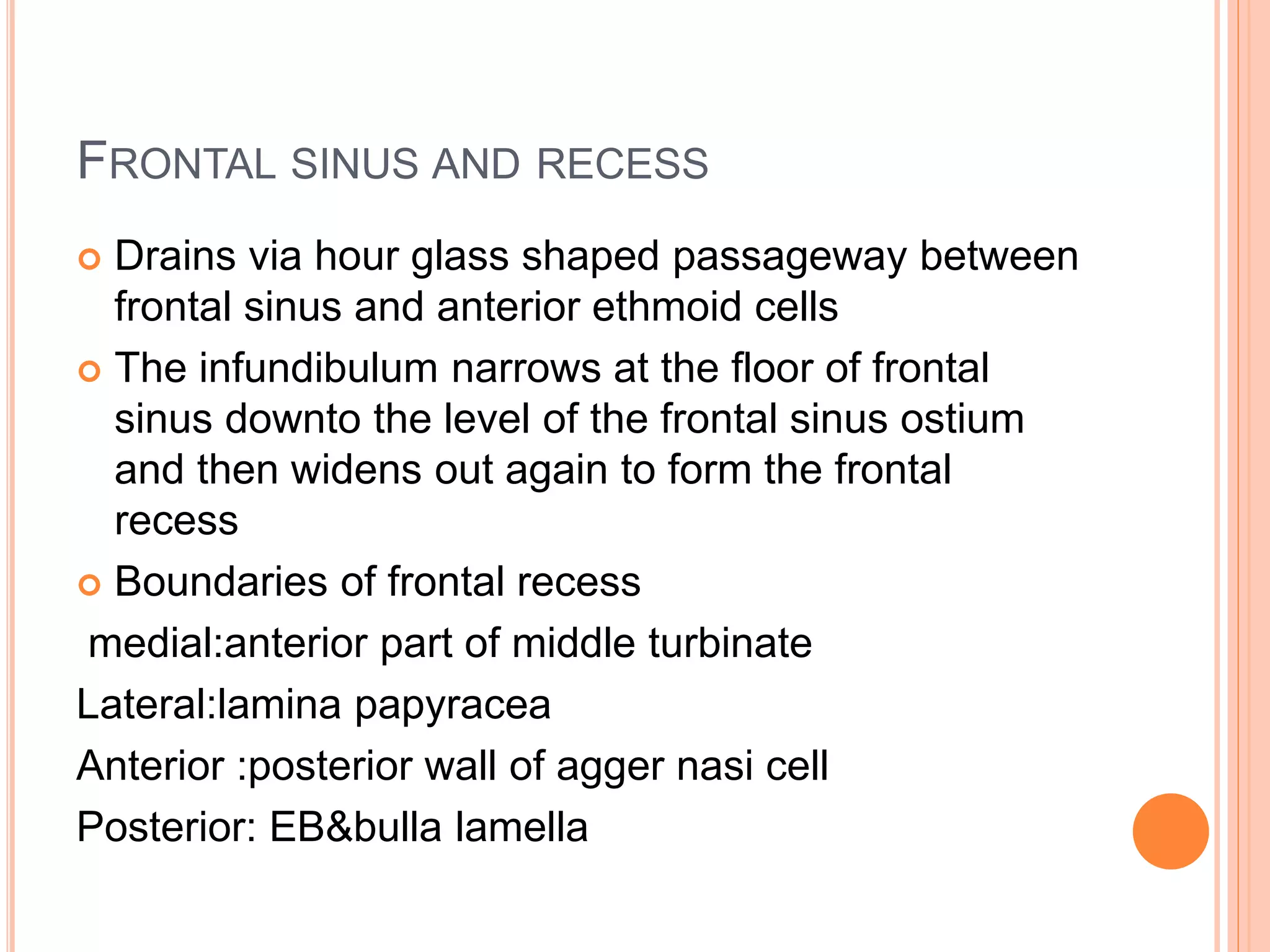 Endoscopic anatomy of Nose, PNS and anterior skull base | PPTX