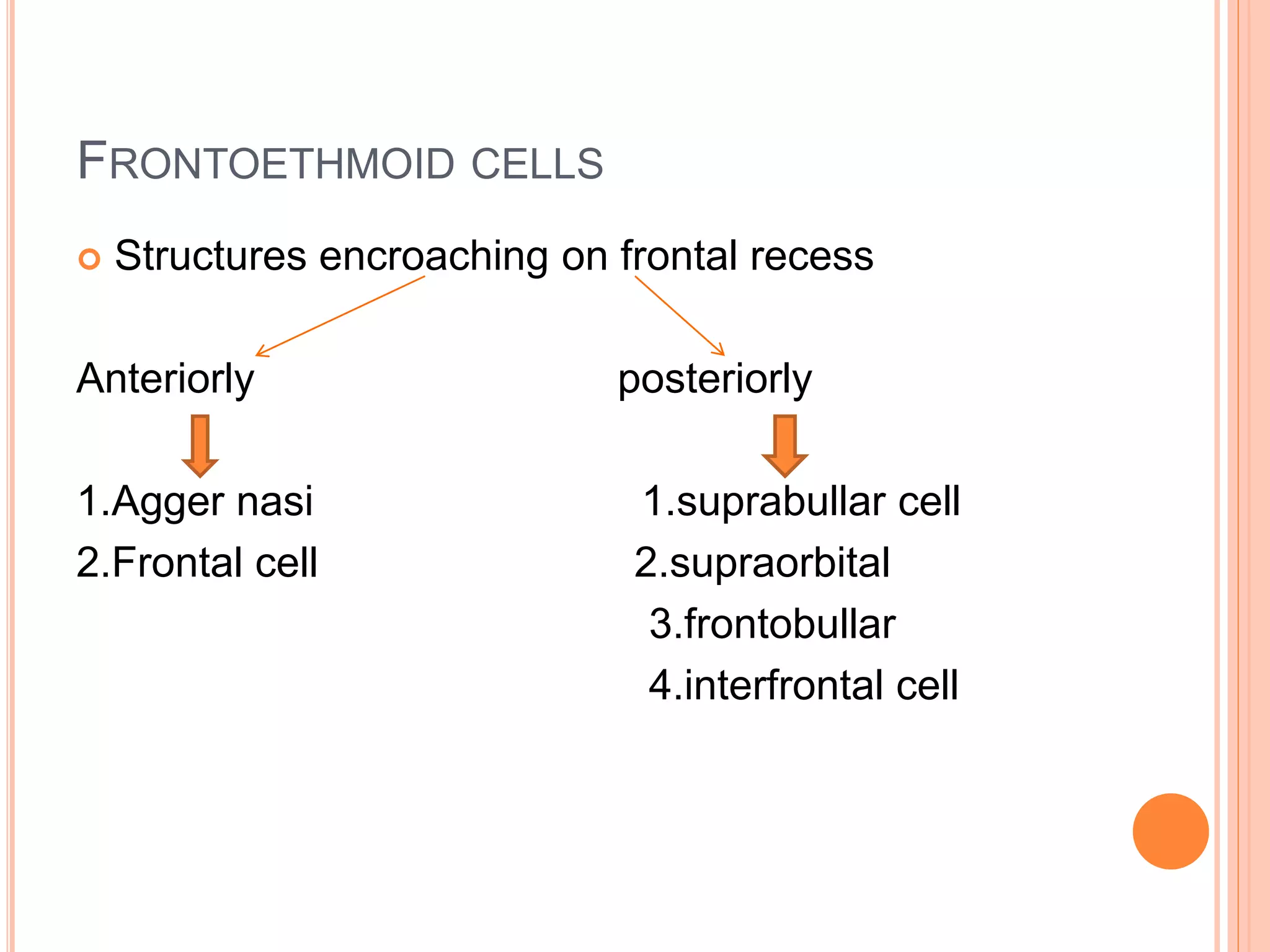 Endoscopic anatomy of Nose, PNS and anterior skull base | PPTX