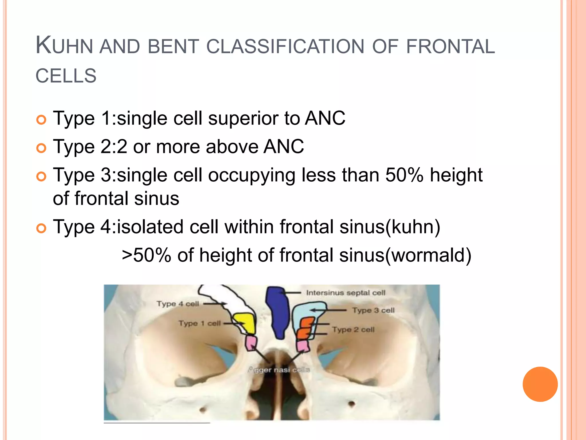Endoscopic anatomy of Nose, PNS and anterior skull base | PPTX