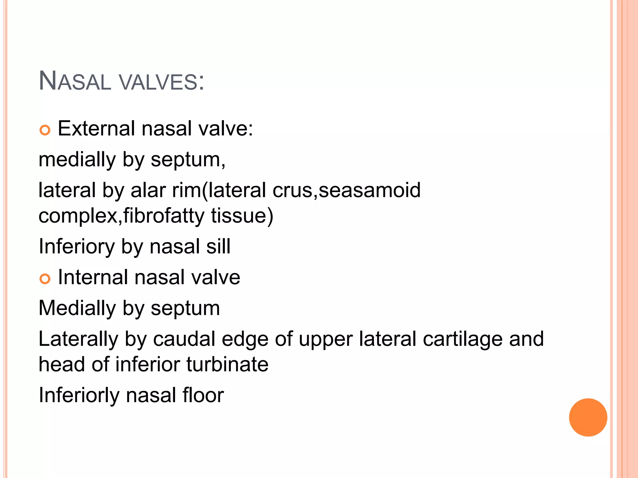 Endoscopic anatomy of Nose, PNS and anterior skull base | PPTX