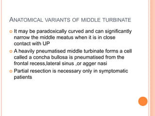 Endoscopic anatomy of Nose, PNS and anterior skull base | PPTX