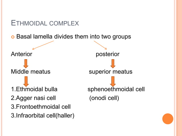 Endoscopic anatomy of Nose, PNS and anterior skull base | PPTX