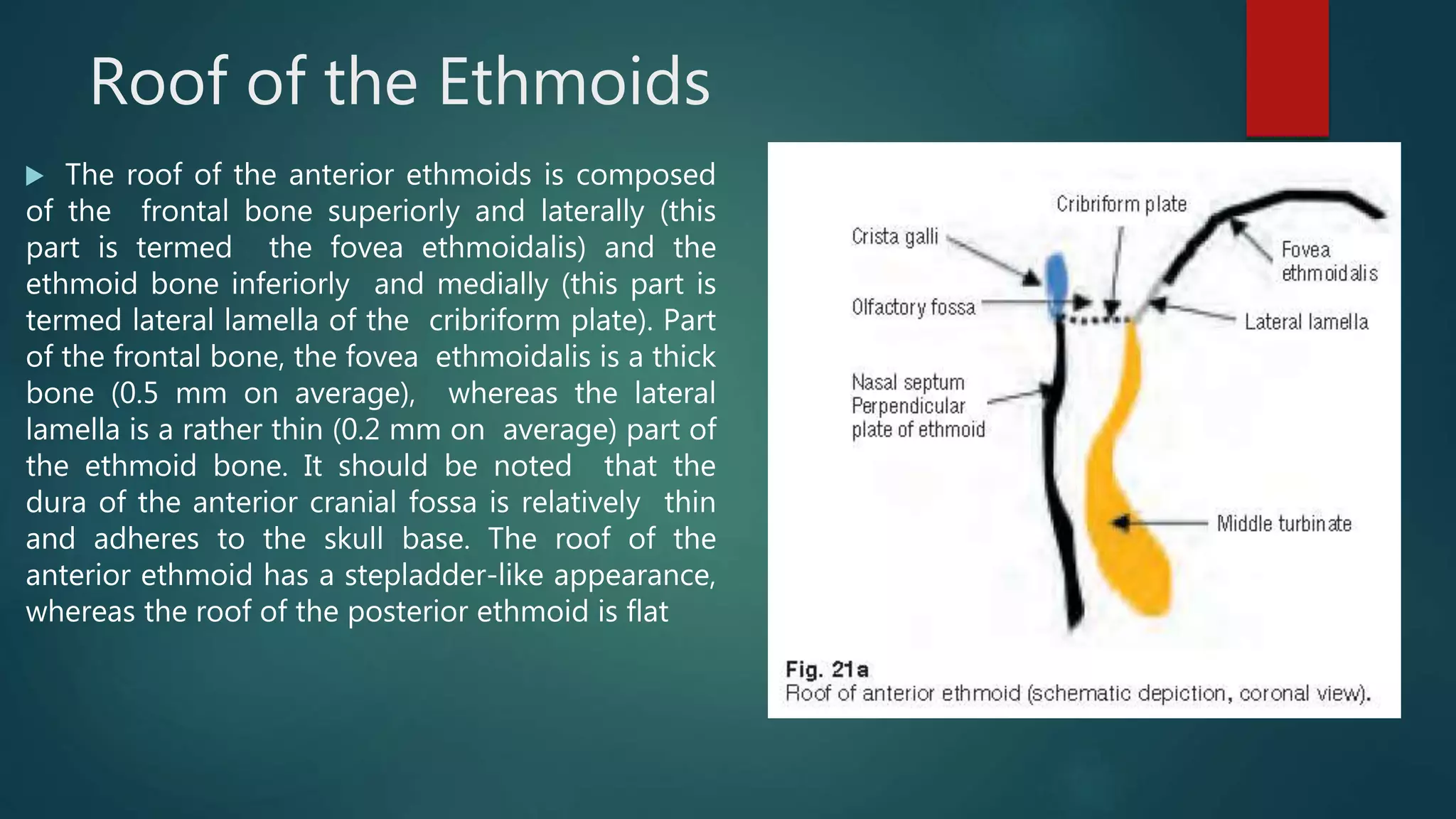 Endoscopic anatomy of paranasal sinuses | PPTX