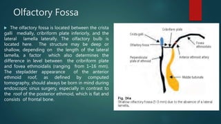 Endoscopic anatomy of paranasal sinuses | PPTX
