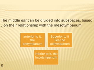 endoscopic anatomy of retrotympanum.pptx