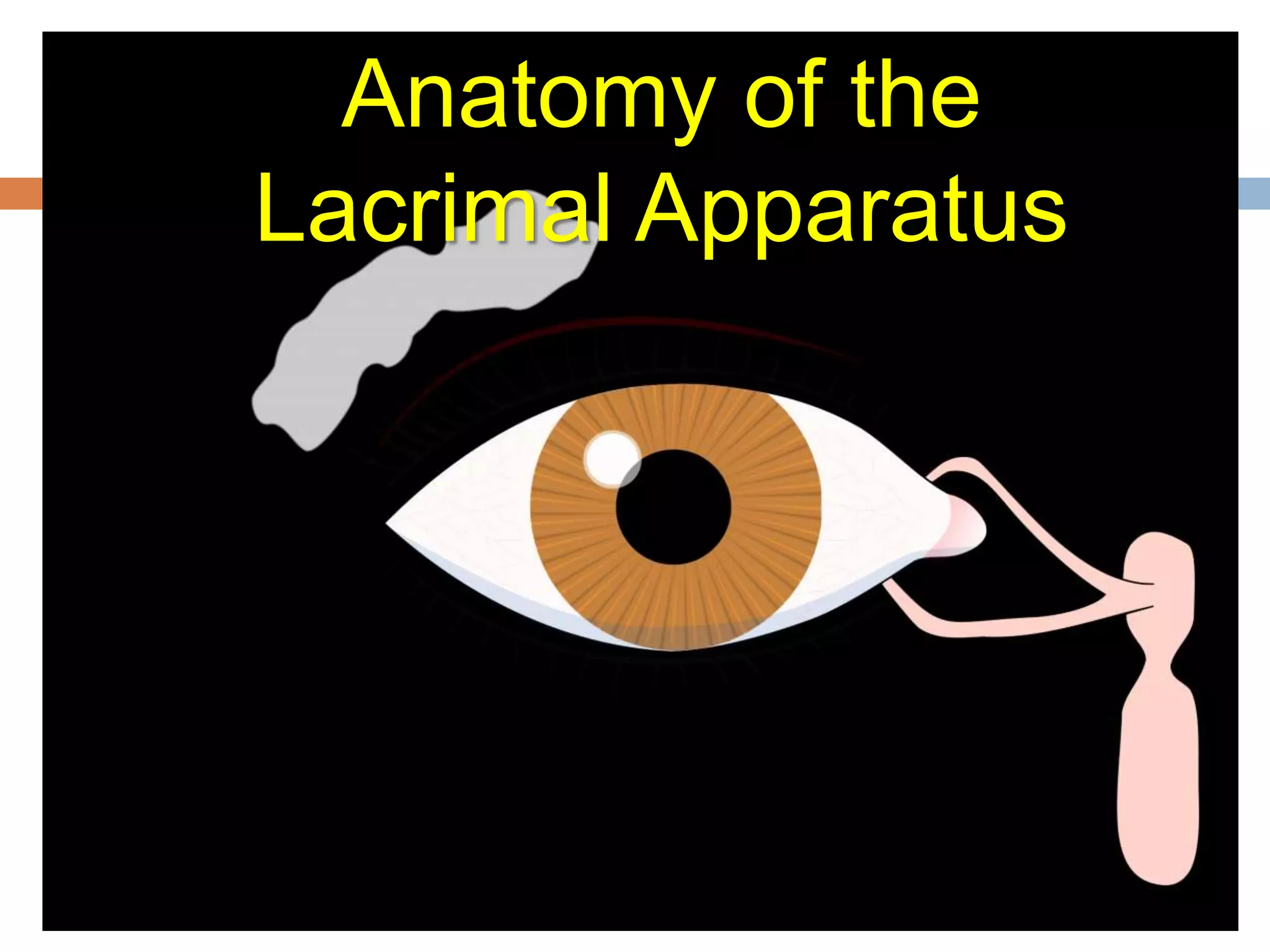 Endoscopic (DCR) Dacryocystorhinostomy | PPTX