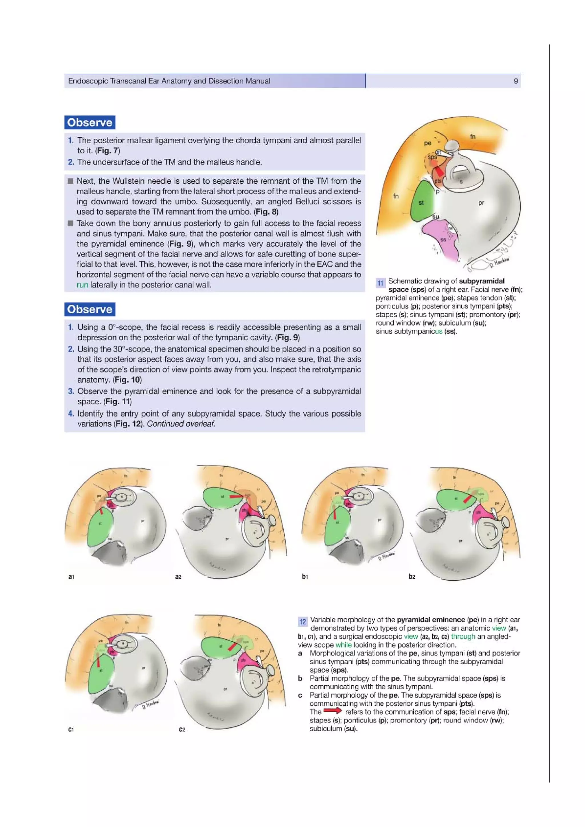 Endoscopic ear anatomy & Dissection | PDF | Ear, Nose and Throat ...