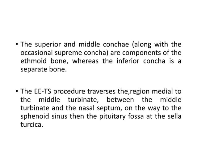 Endoscopic Endonasal Anatomy.pptx | Ear, Nose and Throat Conditions ...