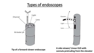 Endoscopic management in pancreatic diseases | PPTX