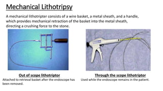 Endoscopic management in pancreatic diseases | PPTX