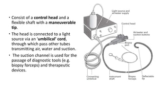 Endoscopic management in pancreatic diseases | PPTX