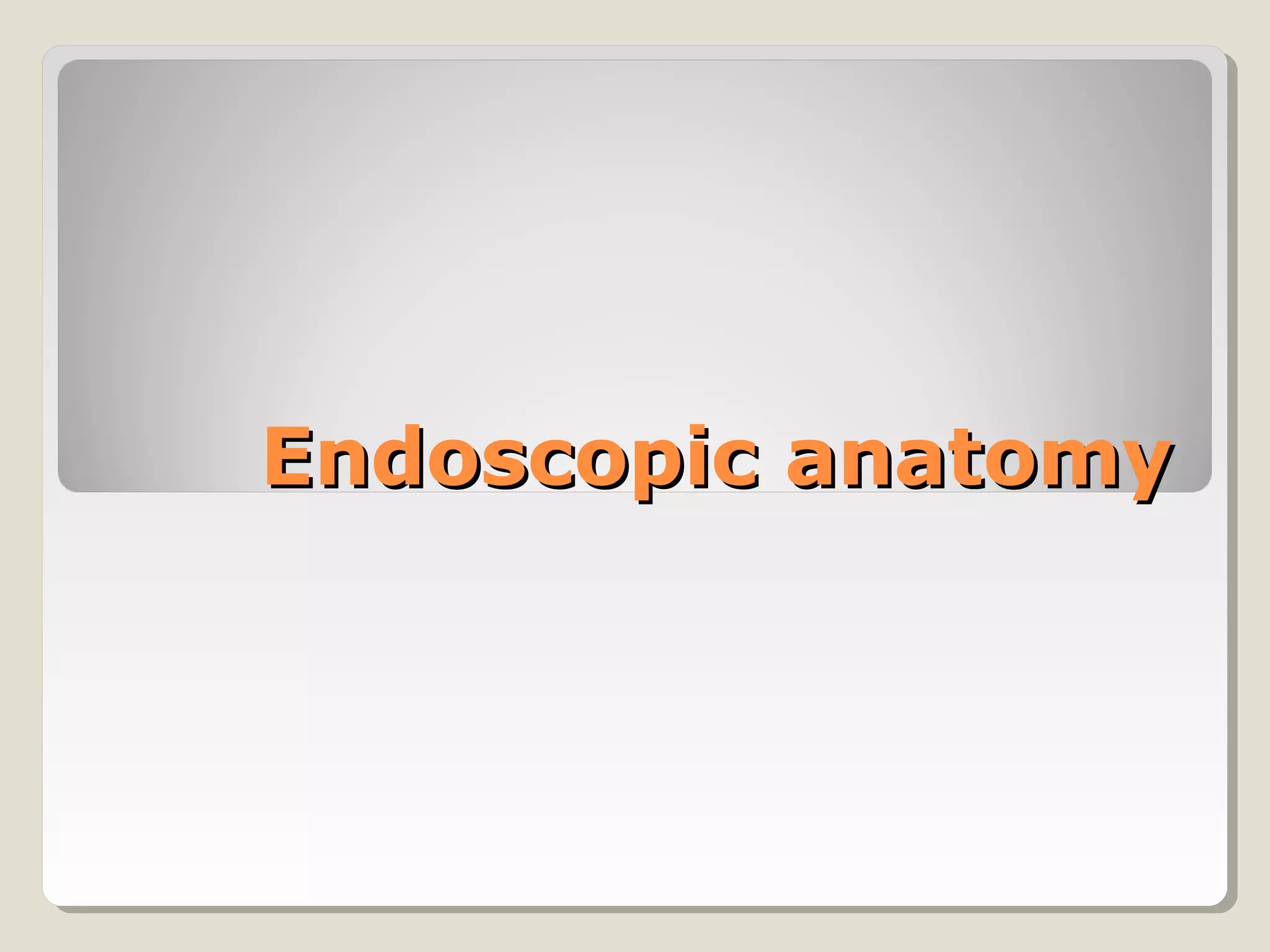 Endoscopic nasal anatomy | PPT