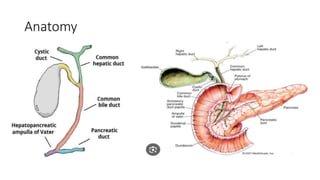 ENDOSCOPIC RETROGRADE CHOLANGIOPACREATOGRAPHY (ERCP).pptx