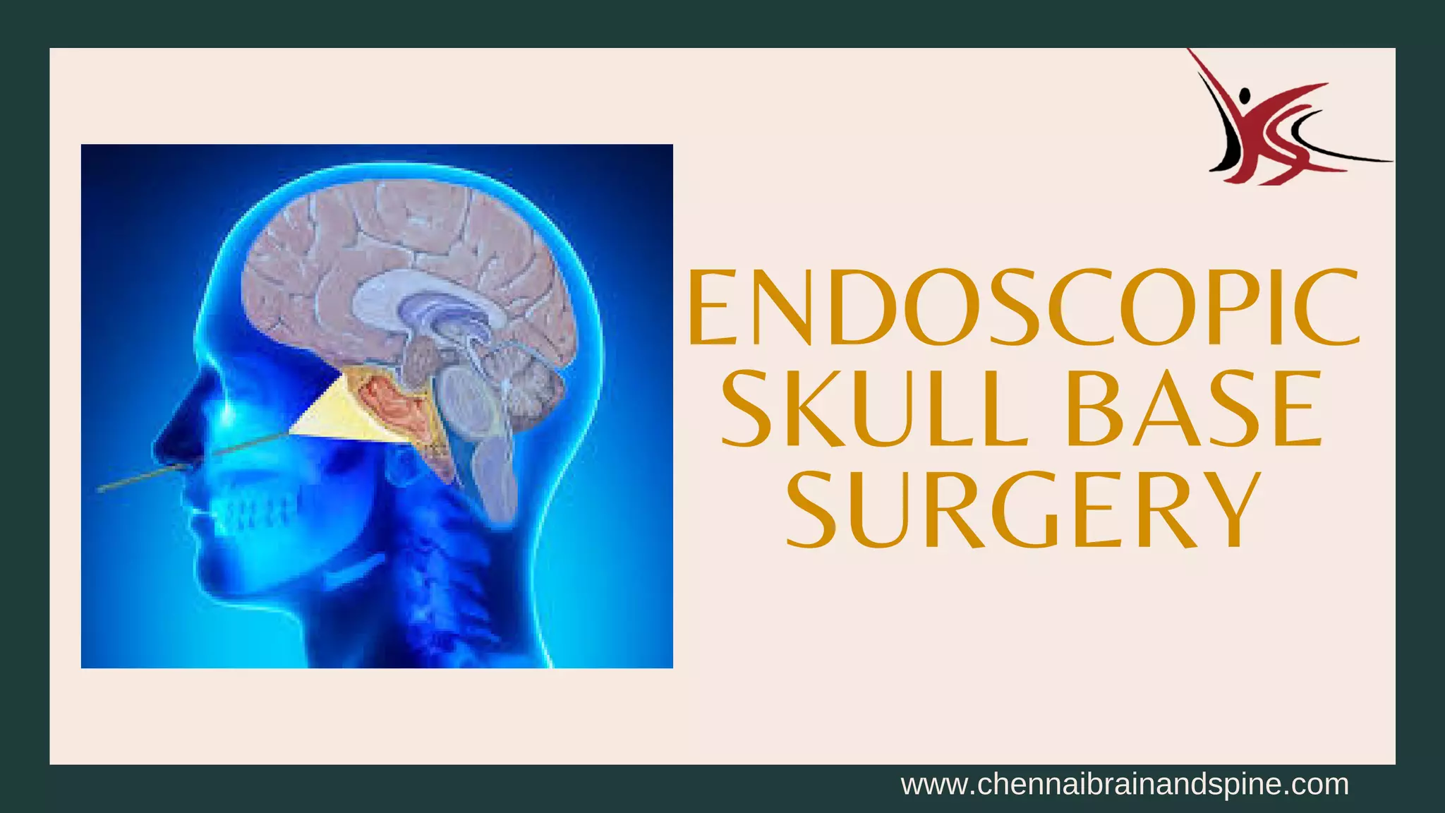 Endoscopic Skull Base Surgery | PDF