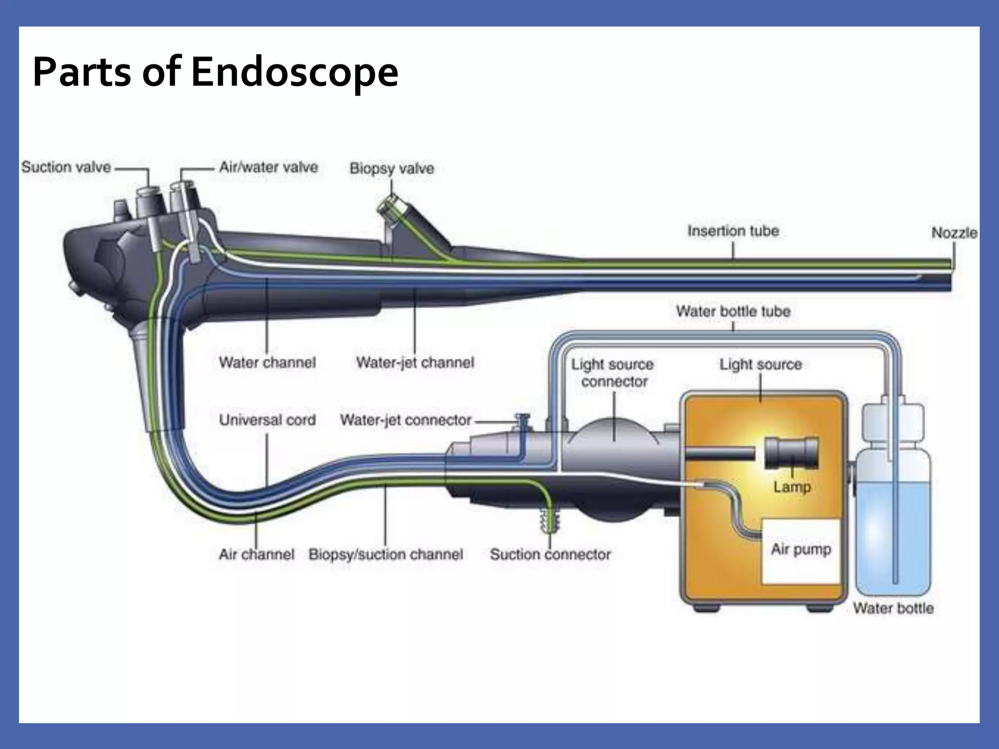 Endoscopy | PPTX