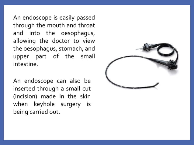 Endoscopy | PPTX | Digestive Disorders | Diseases and Conditions