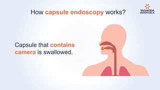 Endoscopy: Types, Preparation, Diagnosis, Procedure and Risks | PPTX