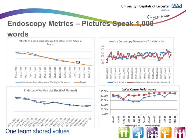 Elective care conference: the Endoscopy Improvement Programme | PDF