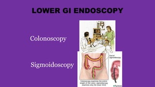 Endoscopy presentation.pptx