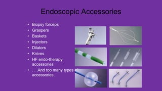 Endoscopy presentation.pptx