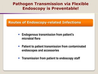 Endoscopy Unit | PDF