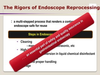 Endoscopy Unit | PDF