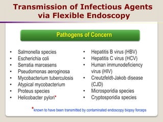 Endoscopy Unit | PDF